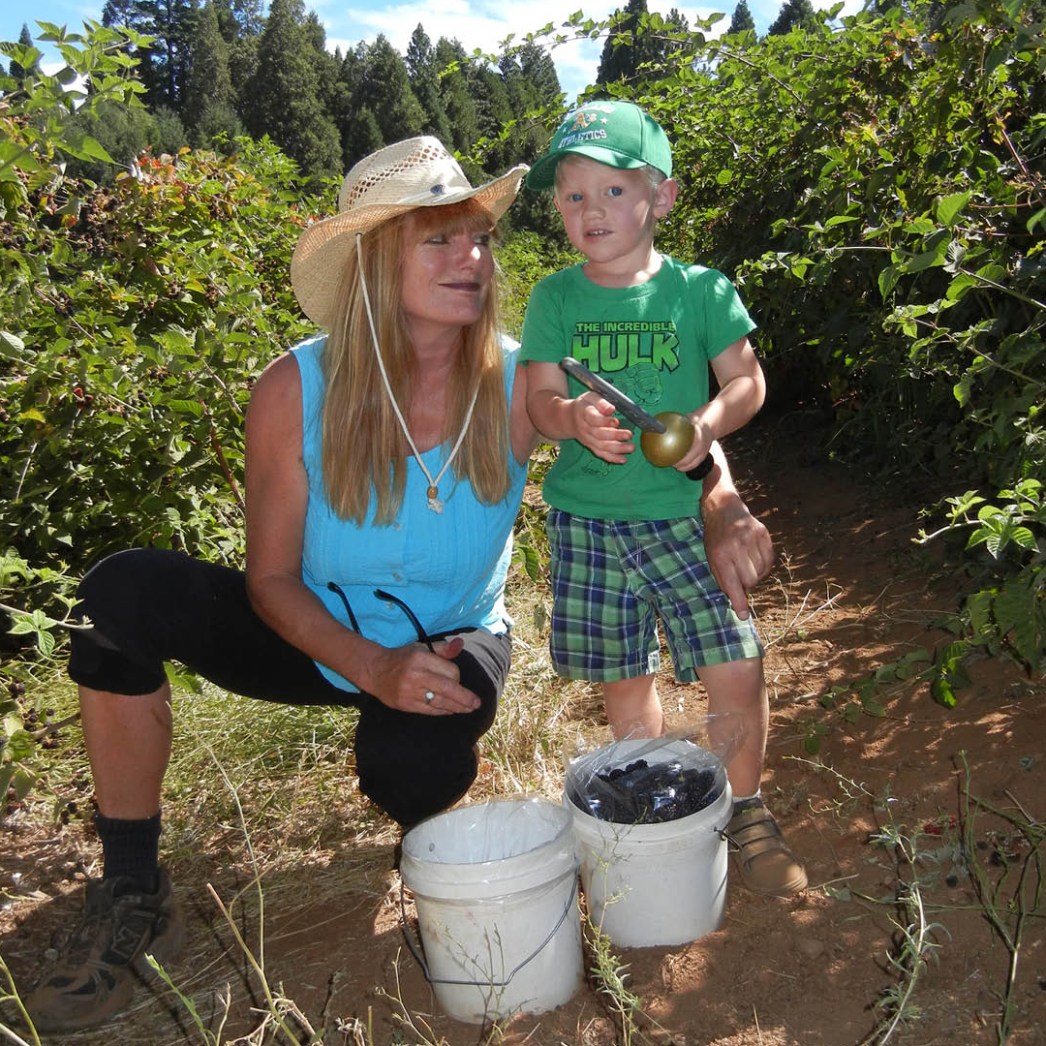 Recipe—Raspberry Turnovers